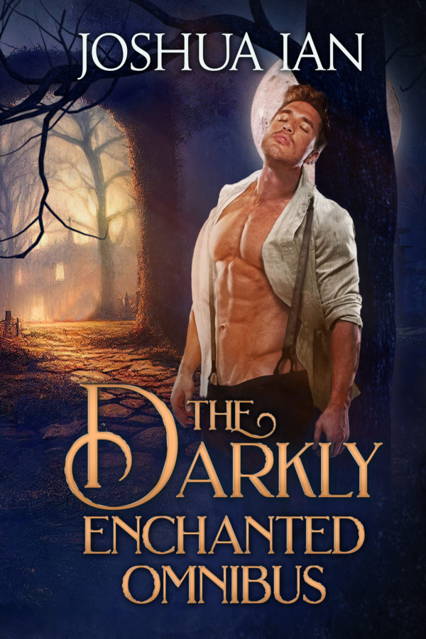 The Darkly Enchanted Omnibus – Queeromance Ink